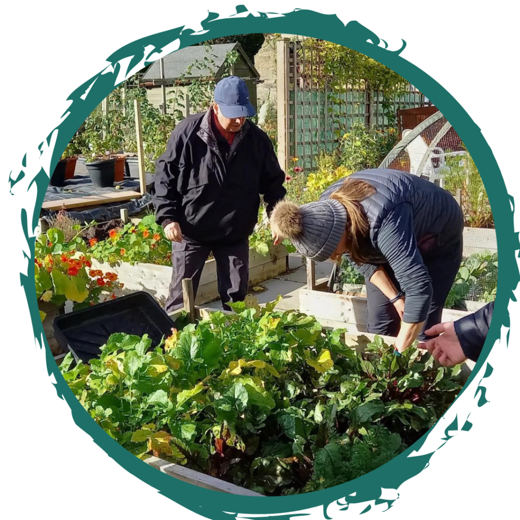 Get Your Community Growing